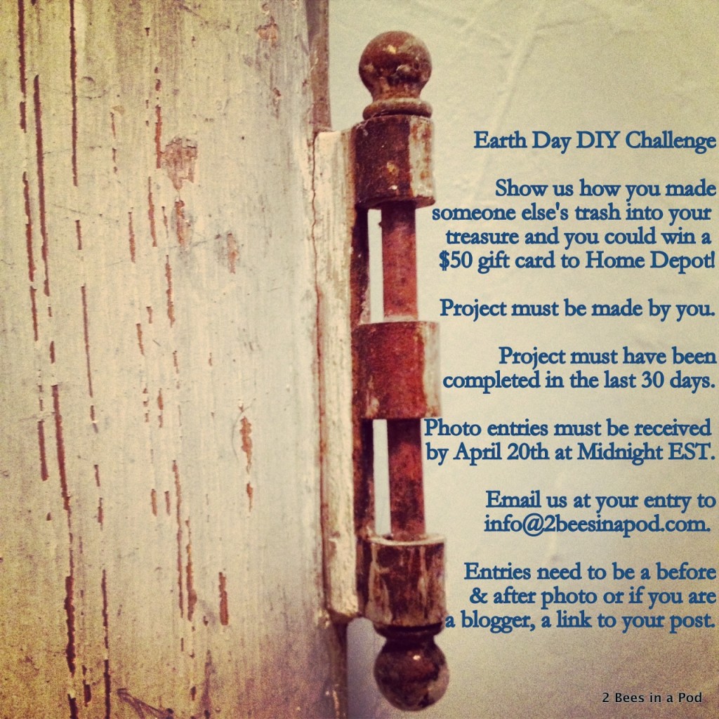 Earth Day DIY Challenge - 2 Bees in a Pod
