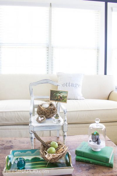 Spring Coffee Table Vignette With Nests - 2 Bees in a Pod