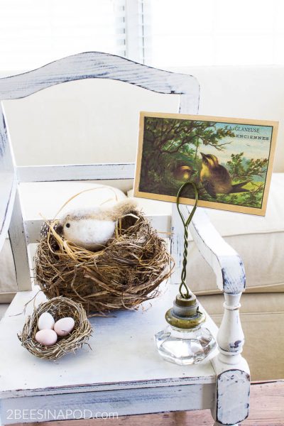 Spring Coffee Table Vignette With Nests - 2 Bees in a Pod