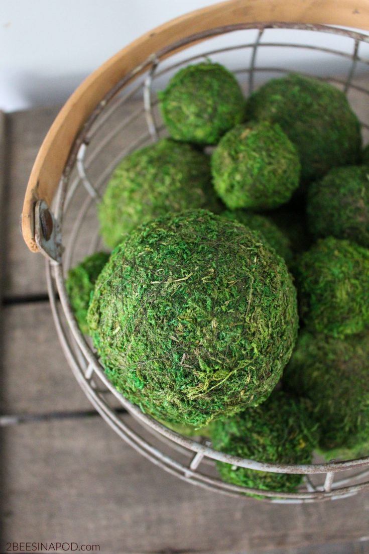 Decorating with Moss Balls - 2 Bees in a Pod