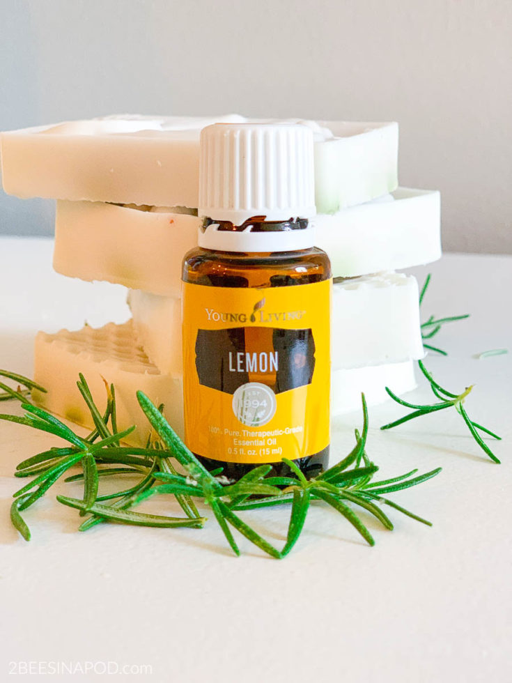 Rosemary Lemon Kitchen Soap - 2 Bees in a Pod